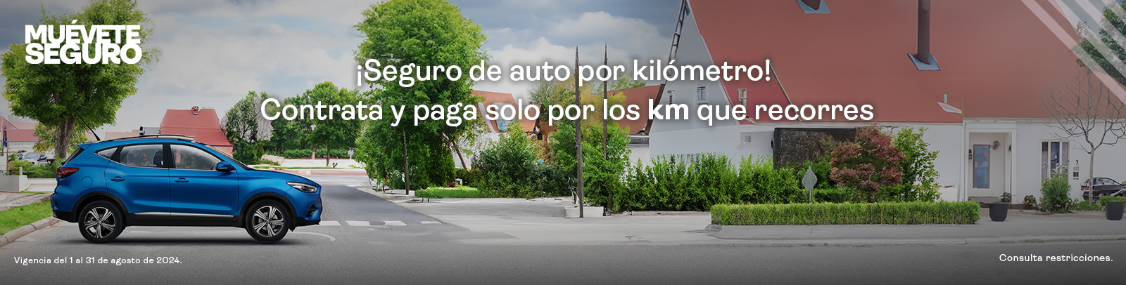 Cotizador de Seguros de Autos 🚘 Liverpool