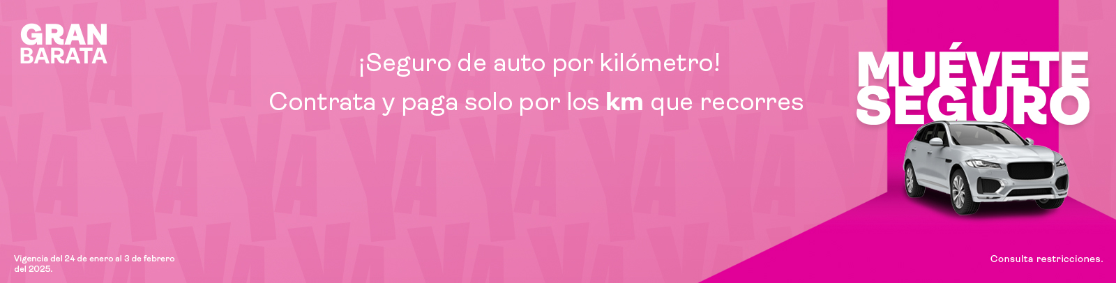 Cotizador de Seguros de Autos 🚘 Liverpool