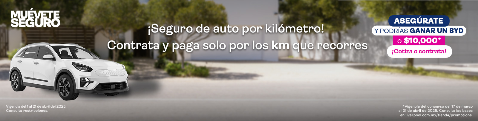 Cotizador de Seguros de Autos 🚘 Liverpool