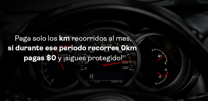 Cotizador de Seguros de Autos 🚘 Liverpool